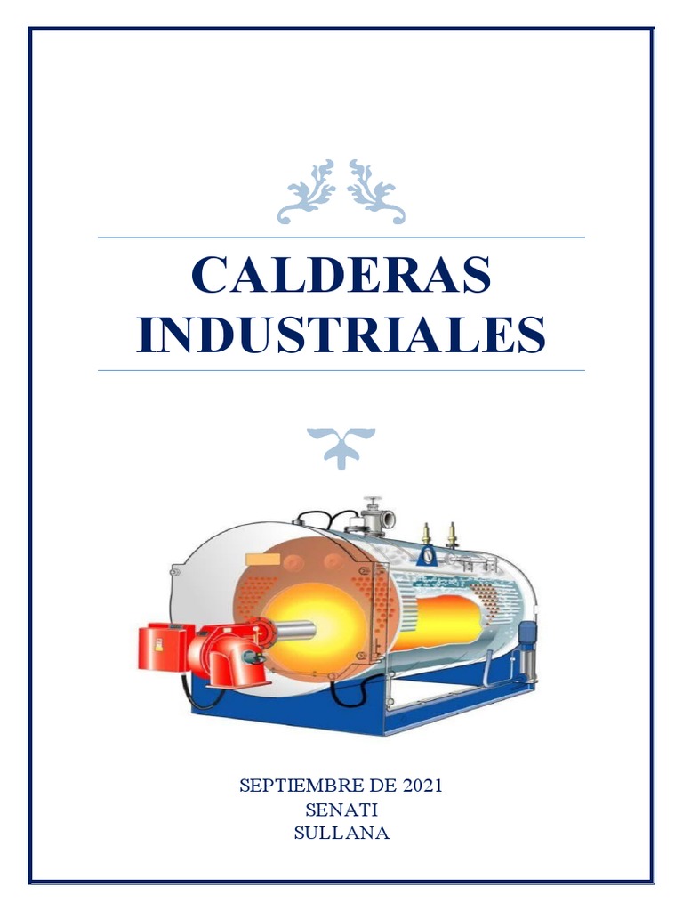 Calderas Industriales - TRABAJO FINAL - Avance | Descargar gratis PDF | Máquina de vapor | Hogar