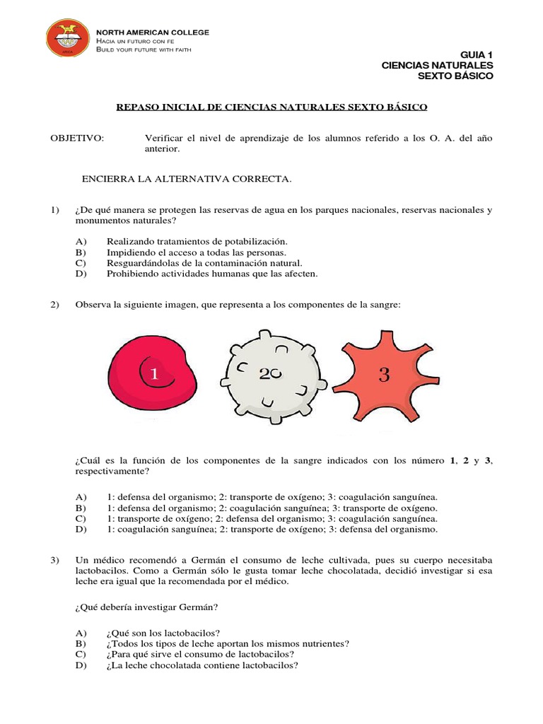 Guia 1 Cs Naturales 6to Basico U1 | PDF | Sangre | Agua