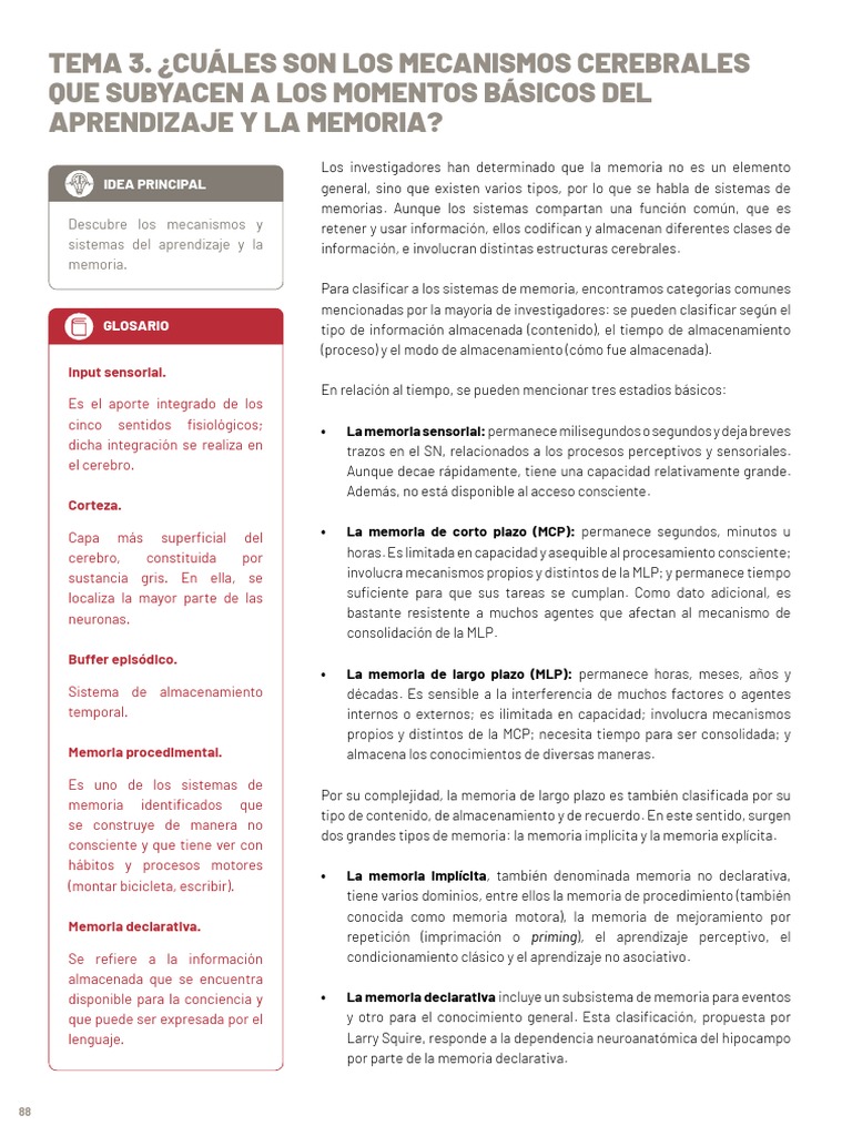 Brainbox - f2 - Mod 6 - Tema 3 | PDF | Memoria | Aprendizaje