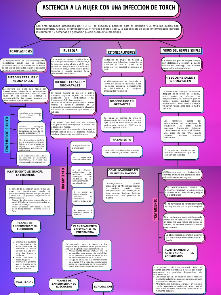 Infecciones TORCH en el embarazo | PDF | El embarazo | Herpes Simple