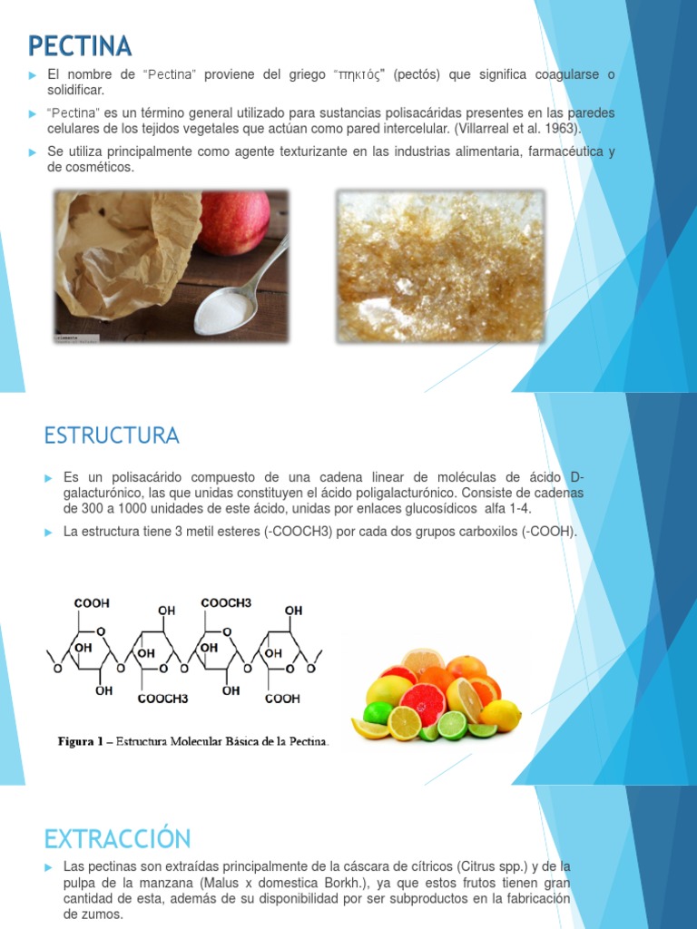 Pectina | PDF | Alimentos | Ester
