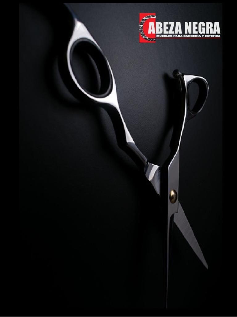 Catalogo Tijeras CABEZA NEGRA DIGITAL-1 | PDF