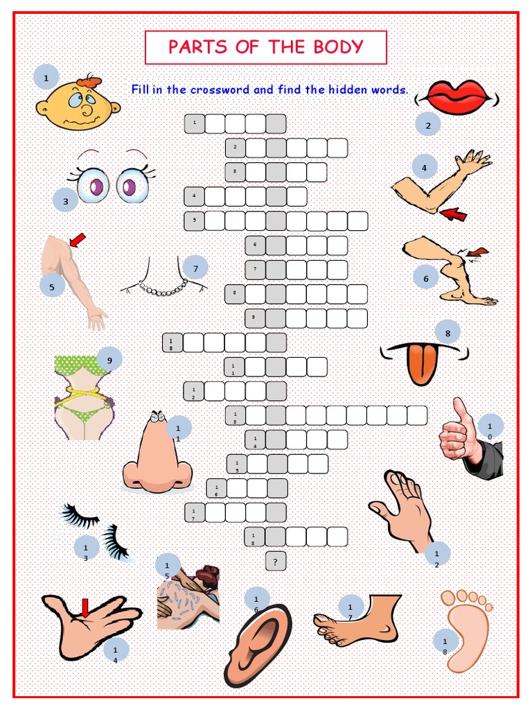 Parts of The Body Crossword Crosswords Icebreakers Oneonone Activities ...