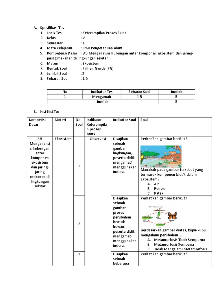 Contoh Instrumen Soal KPS Klasifikasi | PDF