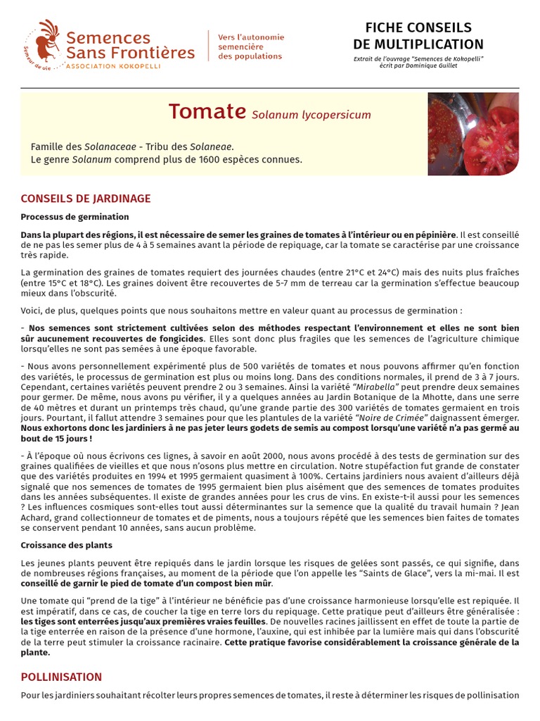 Conseils pour la culture de tomates | PDF | Pollinisation | Tomate