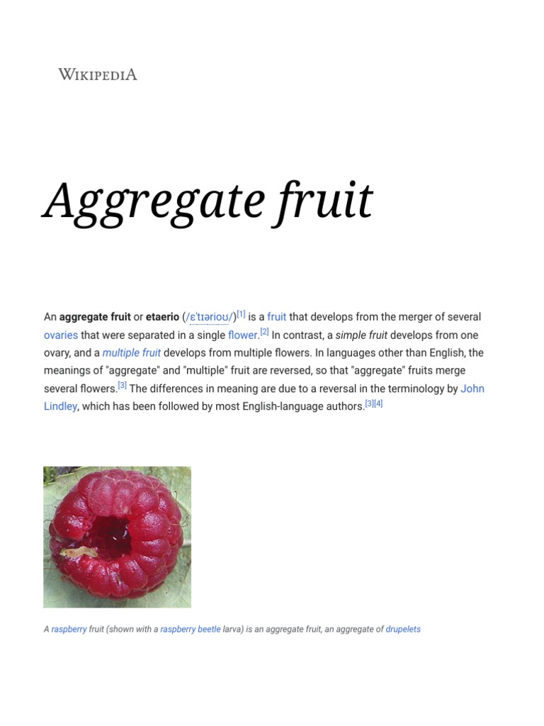 Aggregate Fruit - Wikipedia | PDF | Fruit | Plant Reproduction