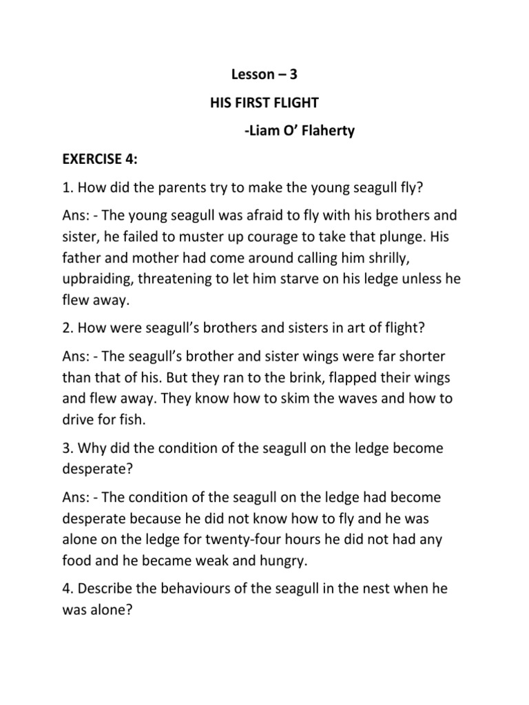 Lesson-3 His First Flight | PDF