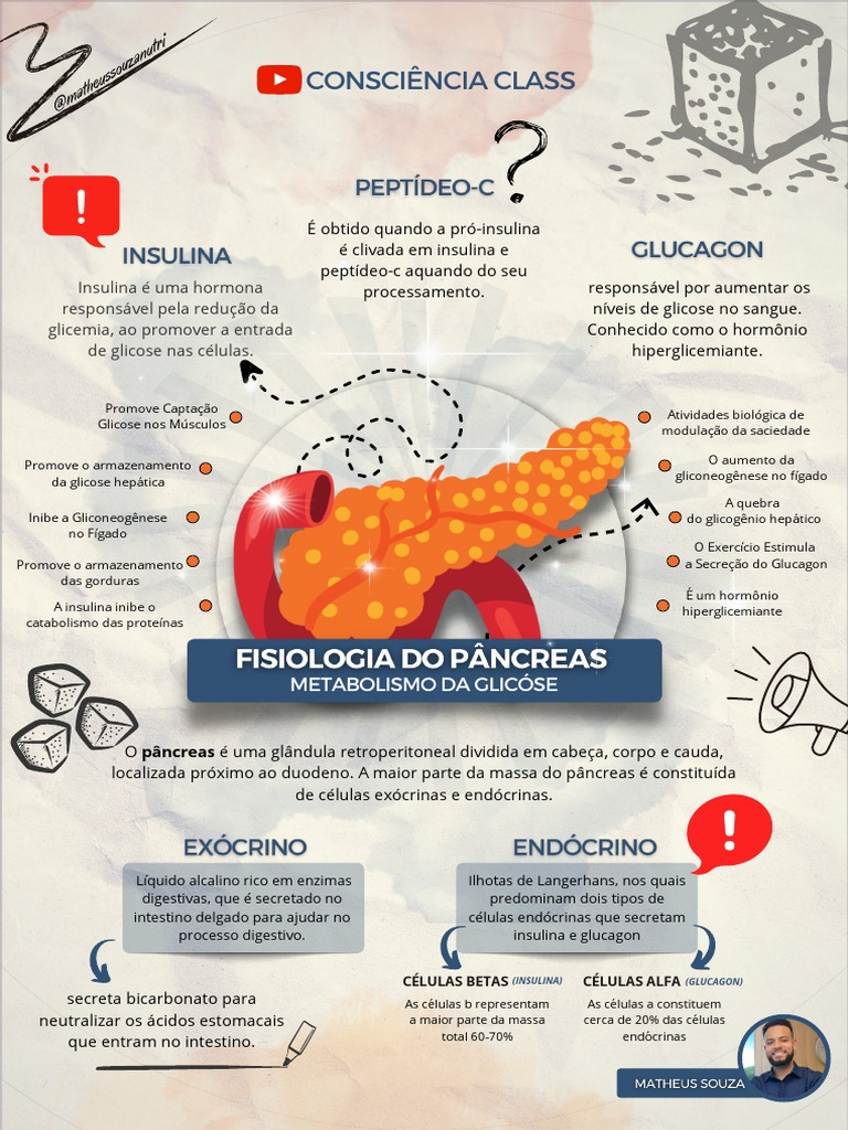 08 Pâncreas Insulina e Glucagon | PDF | Insulina | Pâncreas