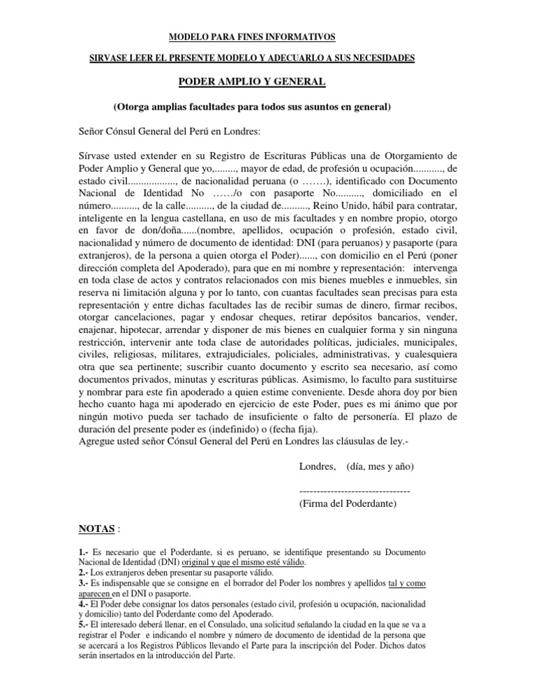 Poder-Modelo Amplio y General | PDF | Gobierno