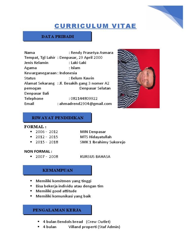 Curriculum Vitae 1 | PDF