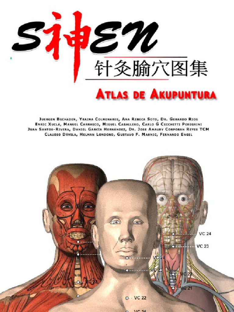 Shen-Atlas-de-Acupuntura V34 | PDF | Hombro | Codo