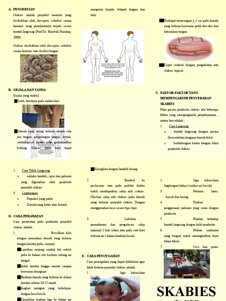 Leaflet Scabies | PDF