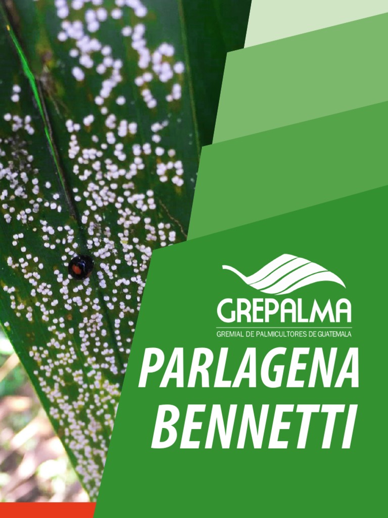 Control de Parlagena bennetti en palma | PDF | Arecaceae | Agricultura