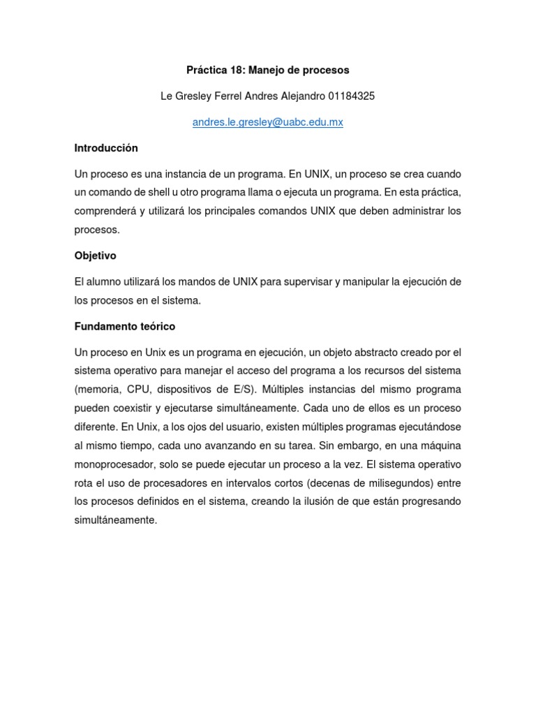 Práctica 18 | PDF | Programación | Programa de computadora