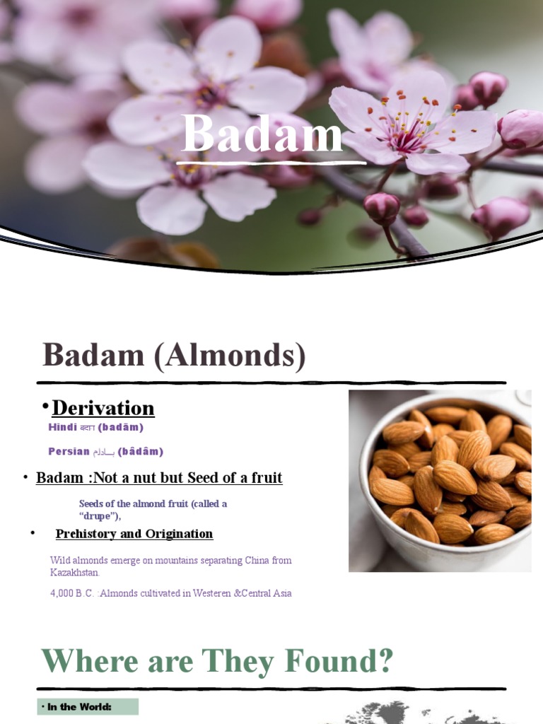 Almond | PDF