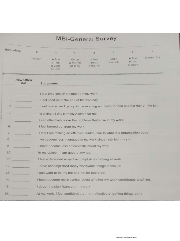 Maslach Burnout Inventory (MBI) Questionnaire | PDF