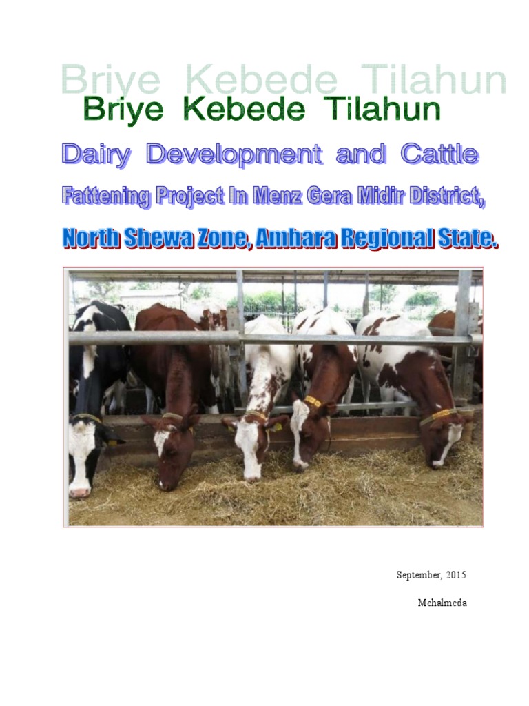 Dairy and Fattening Project Overview | PDF | Cattle | Dairy Farming