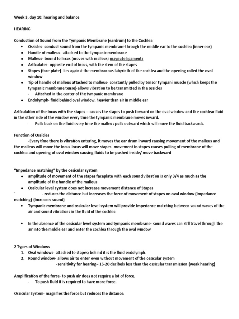 Hearing and Balance | PDF | Ear | Hearing