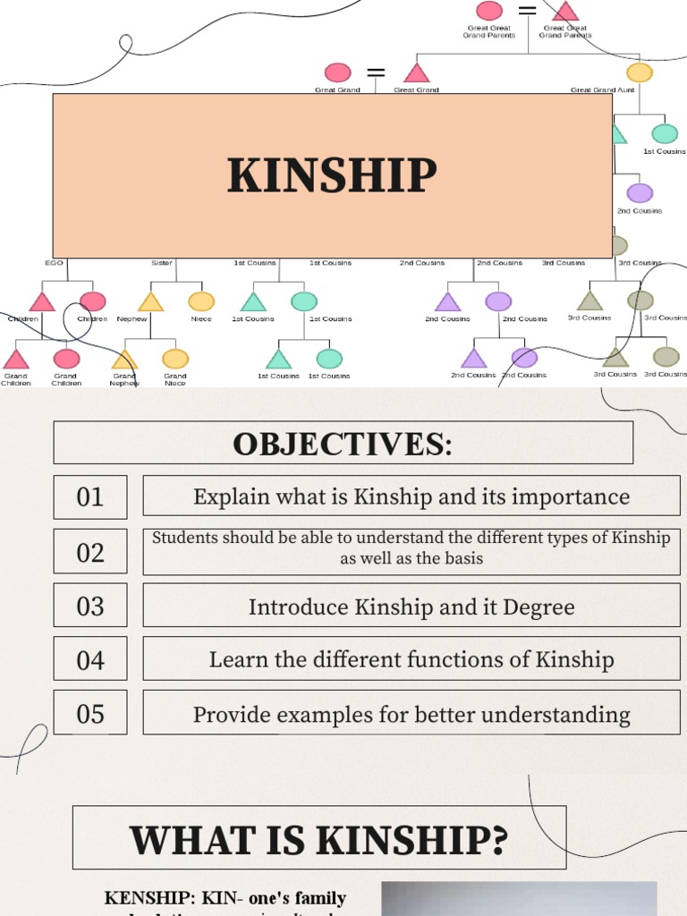 Stem2 Kinship g1 | PDF | Kinship | Family