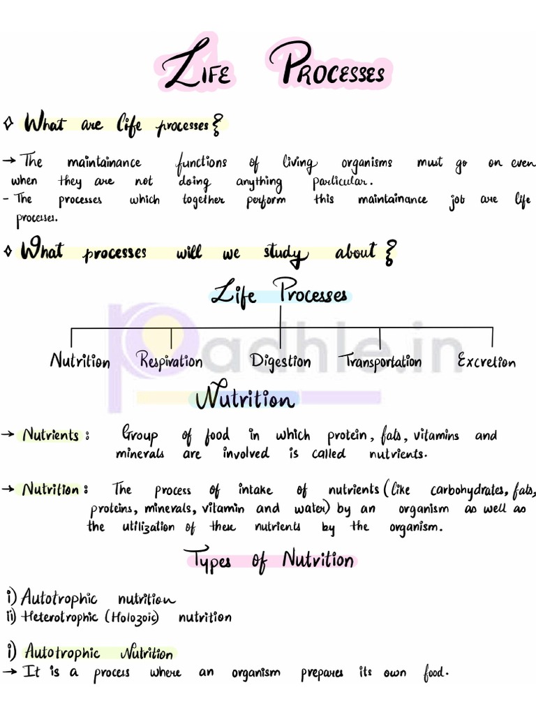 CH-6 Part-1 SCI | PDF