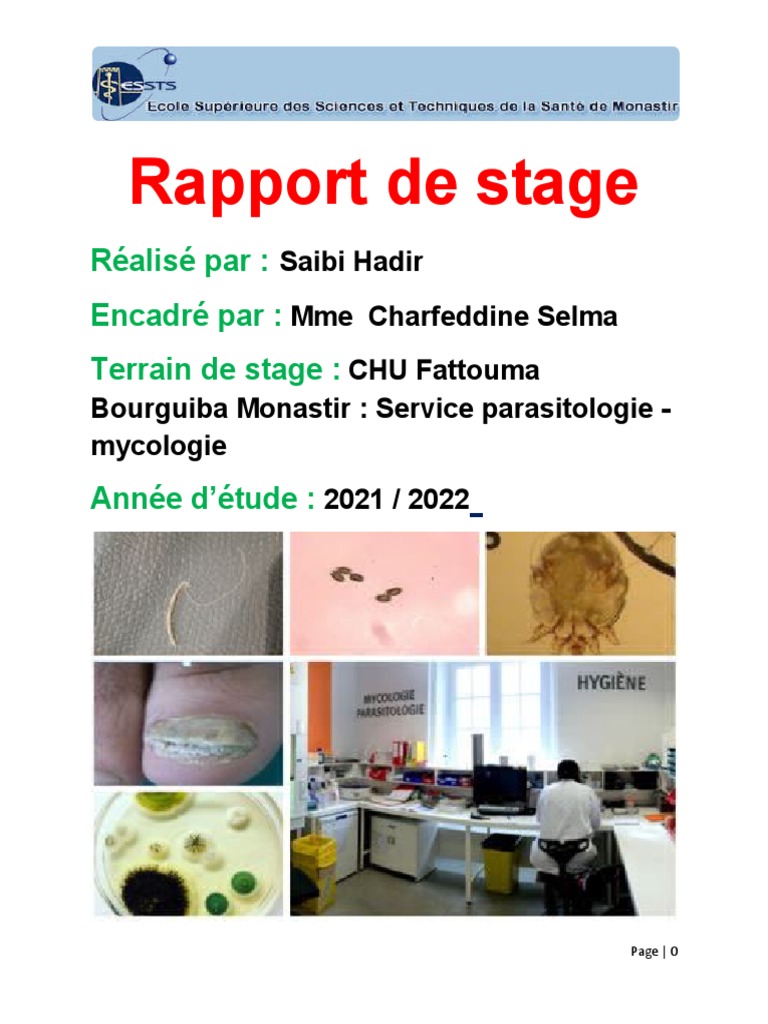 Rapport de stage en parasitologie et mycologie | PDF | Plasmodium ...