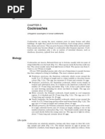 21-Days Conditioning Guide | PDF | Nutrition | Diet & Nutrition
