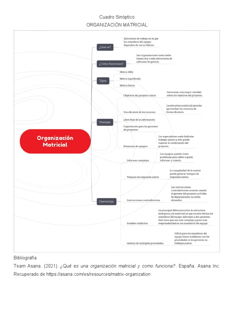 Cuadro Sinóptico de Organización Matricial | PDF