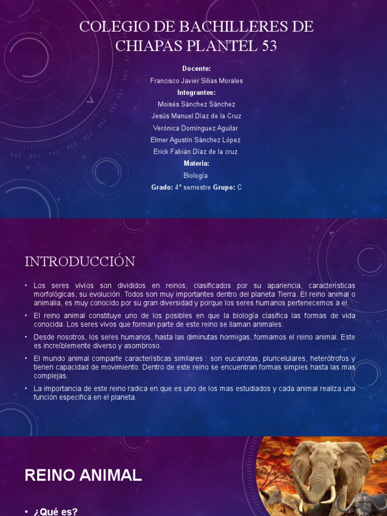 Reino Animal. | PDF | Organismos | Vertebrados