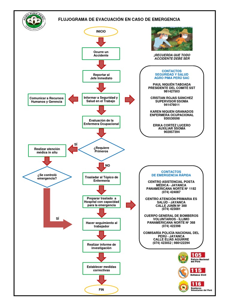 Flujograma de Evacuación de Emergencia | PDF | Ciencias de la Salud | Cuidado de la salud
