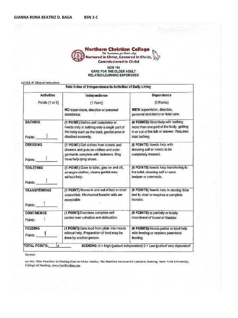 CHN Assessment | PDF | Science & Mathematics