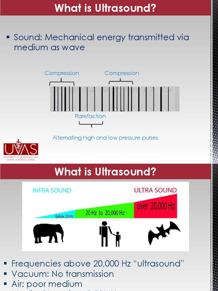 Basics of Ultrasonography | PDF | Medical Ultrasound | Sound