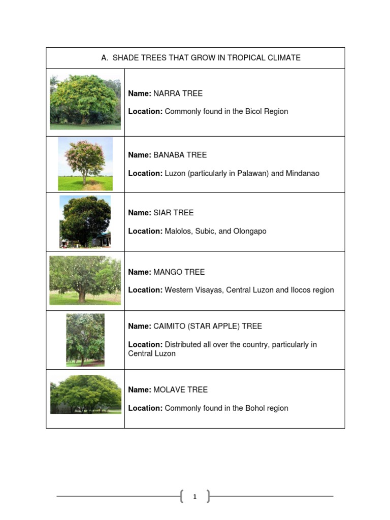 Landscape Architecture Research Work Pdf Plants Medicinal Plants