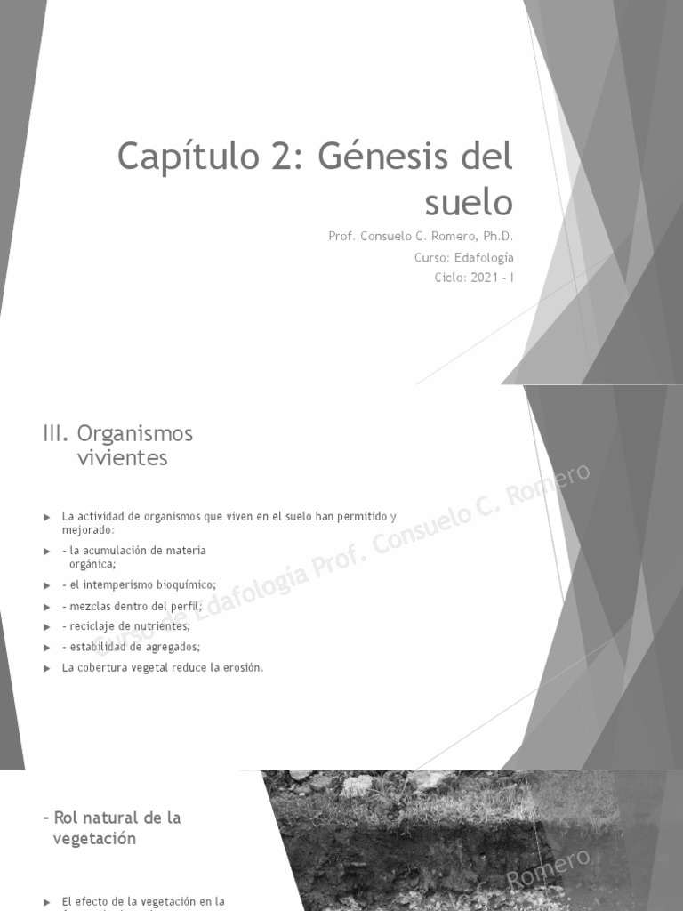 Capitulo 2 - Genesis Del Suelo (Parte 2) | PDF | Meteorización | Roca ...