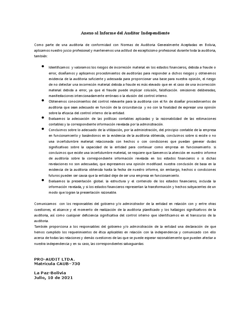 1 Anexo Al Informe Del Auditor Independiente | PDF | Auditoría | Business