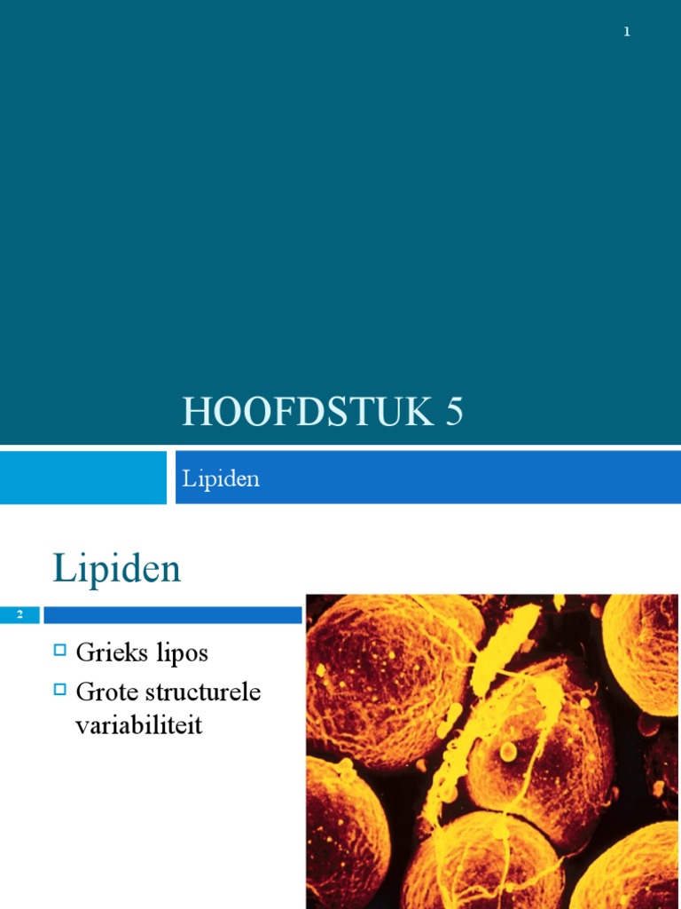 Hoofdstuk 5 Biomoleculen | PDF