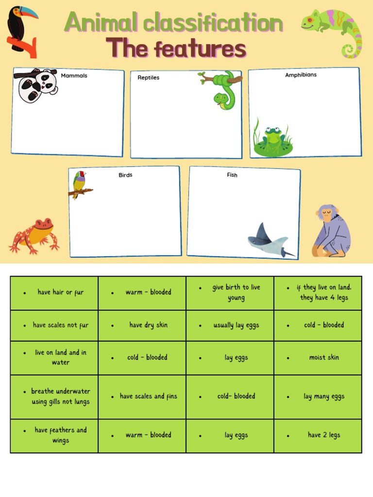 Animal Features Worksheet | PDF