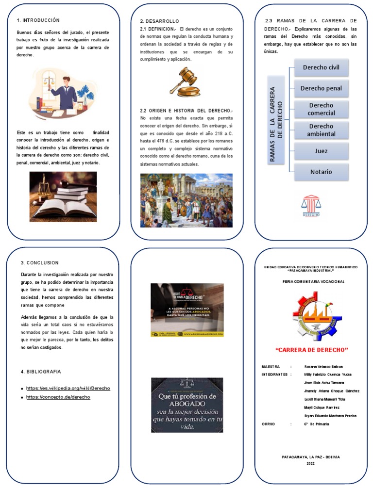 Triptico Derecho | PDF | Derecho penal | Ley Pública