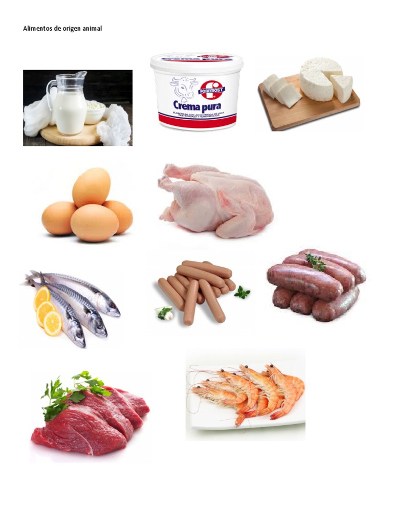 Alimentos de Origen Animal | PDF