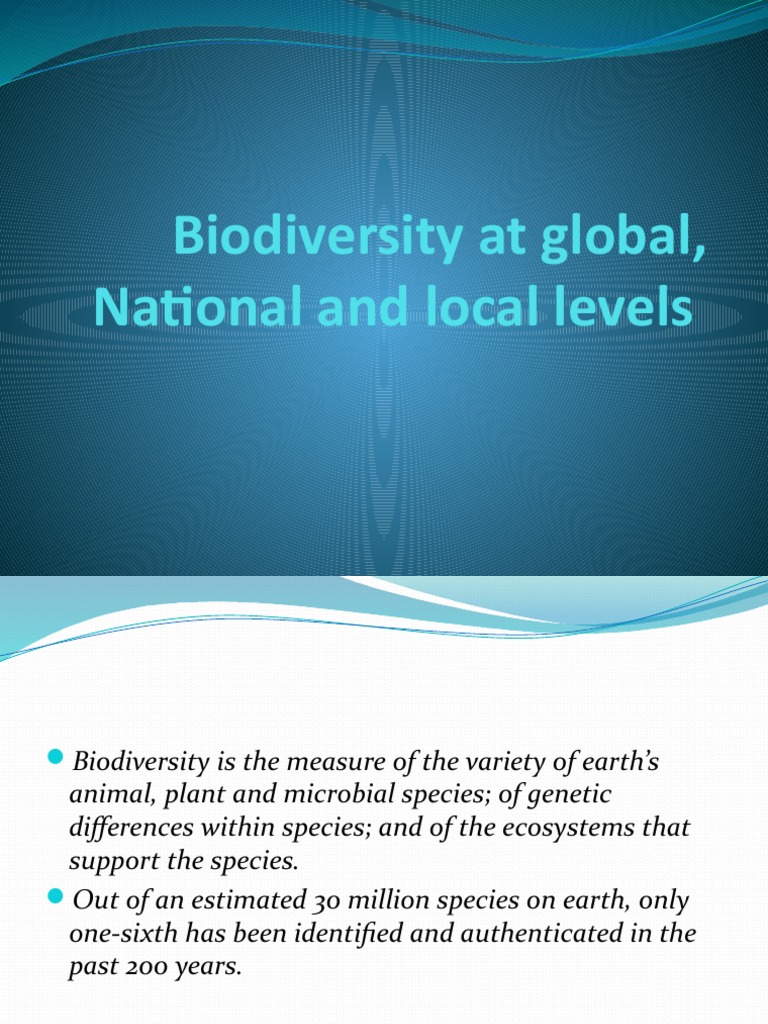 Biodiversity at Global, National and Local Levels | PDF | Biodiversity ...