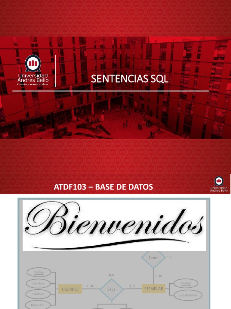 Sentencias SQL: DDL y DML en Bases de Datos | PDF | SQL | Ciencias de la Computación