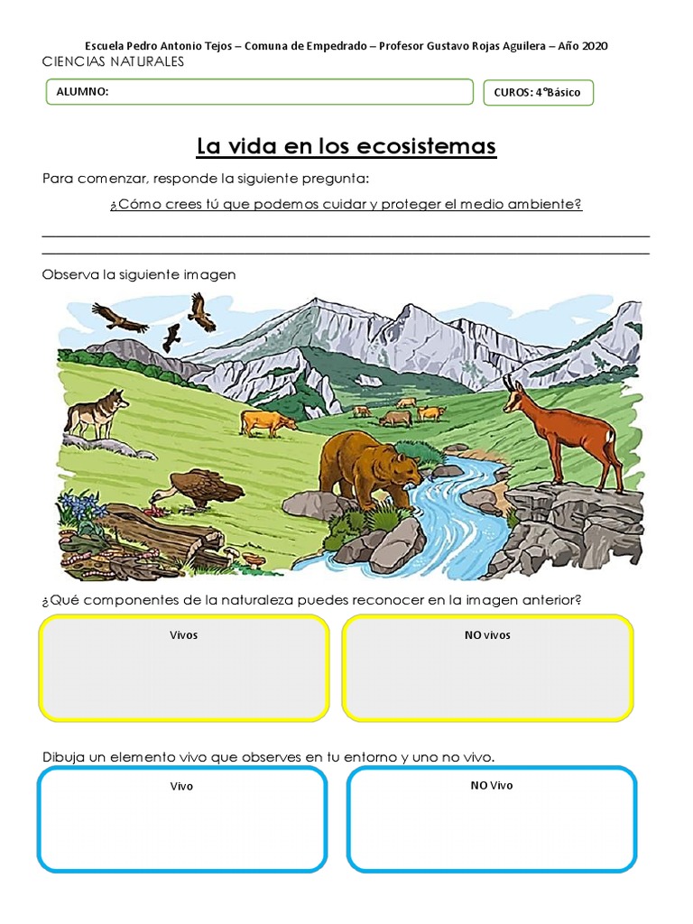 Guia 2 Ciencias Naturales | PDF | Ecosistema | Entorno natural