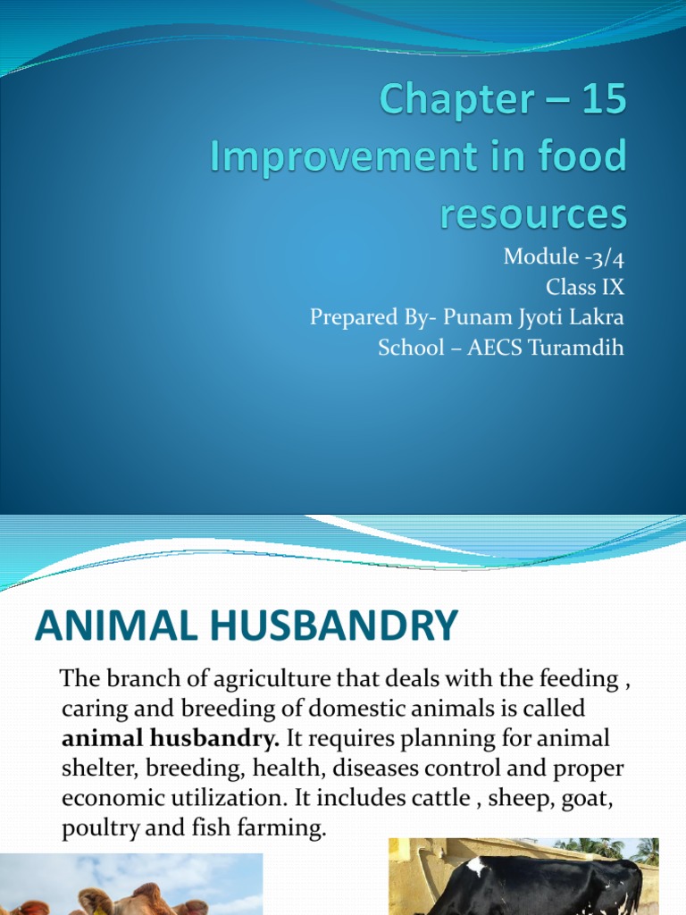 Module - 3/4 Class IX Prepared By-Punam Jyoti Lakra School - AECS ...