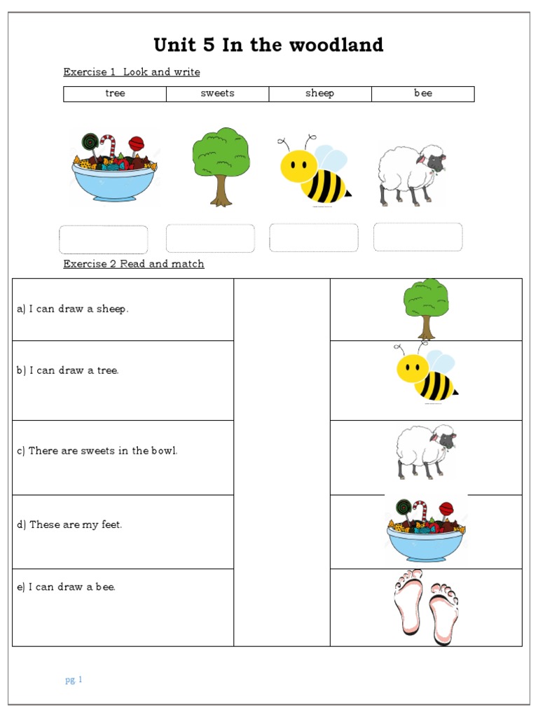Unit 5: Woodland Vocabulary Exercises | PDF | Bees