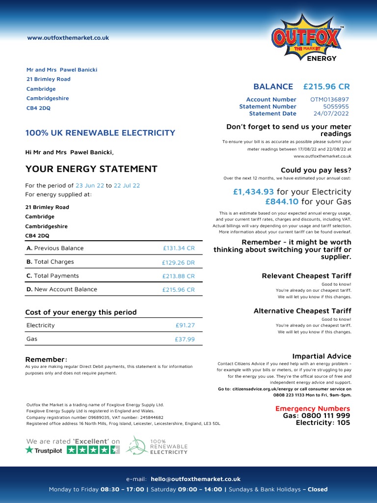 Your Energy Statement: Balance | PDF | Debits And Credits | Power (Physics)