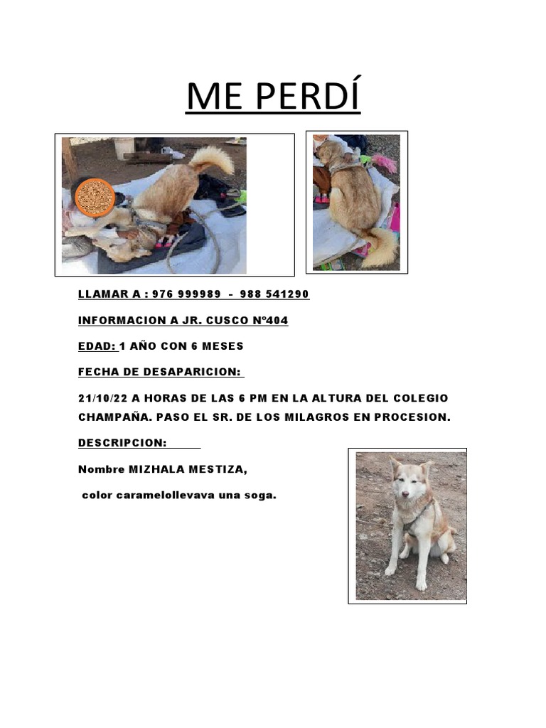 Me Perdí | PDF | Cocina, comidas y vino