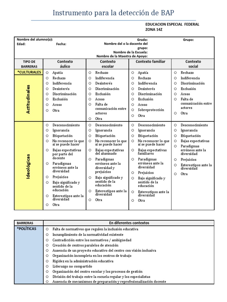 Instrumento para La Deteccion de BAP Usaer | PDF | Teoría de la educación | Cognición