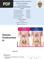 Triptico Del Sistema Excretor | PDF | Sistema urinario | Riñón