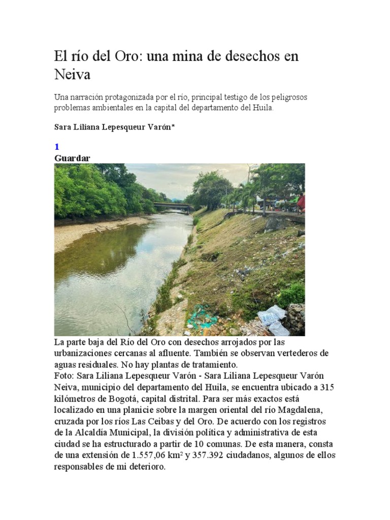Contaminación del Río del Oro en Neiva | PDF | Río | Ciencias de la Tierra