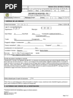 Informe Investigador de Campo - FPJ - 11 | PDF