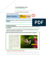 Anatomia Mosca Completa Con Imagenes | PDF